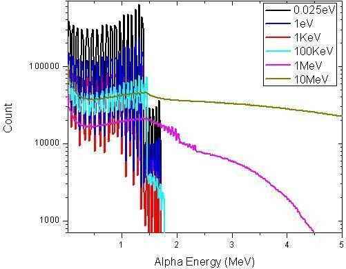 The behavior of HfB2 under neutron irradiation