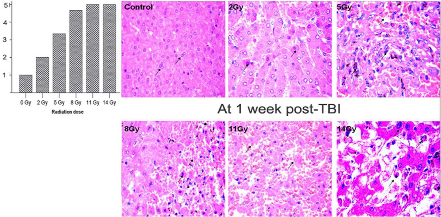 Nuclear Science and Techniques