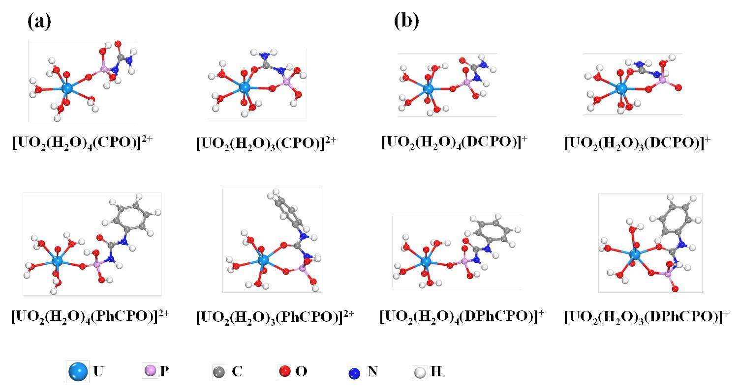 A density functional theory study on the interaction between UO22+ and ...