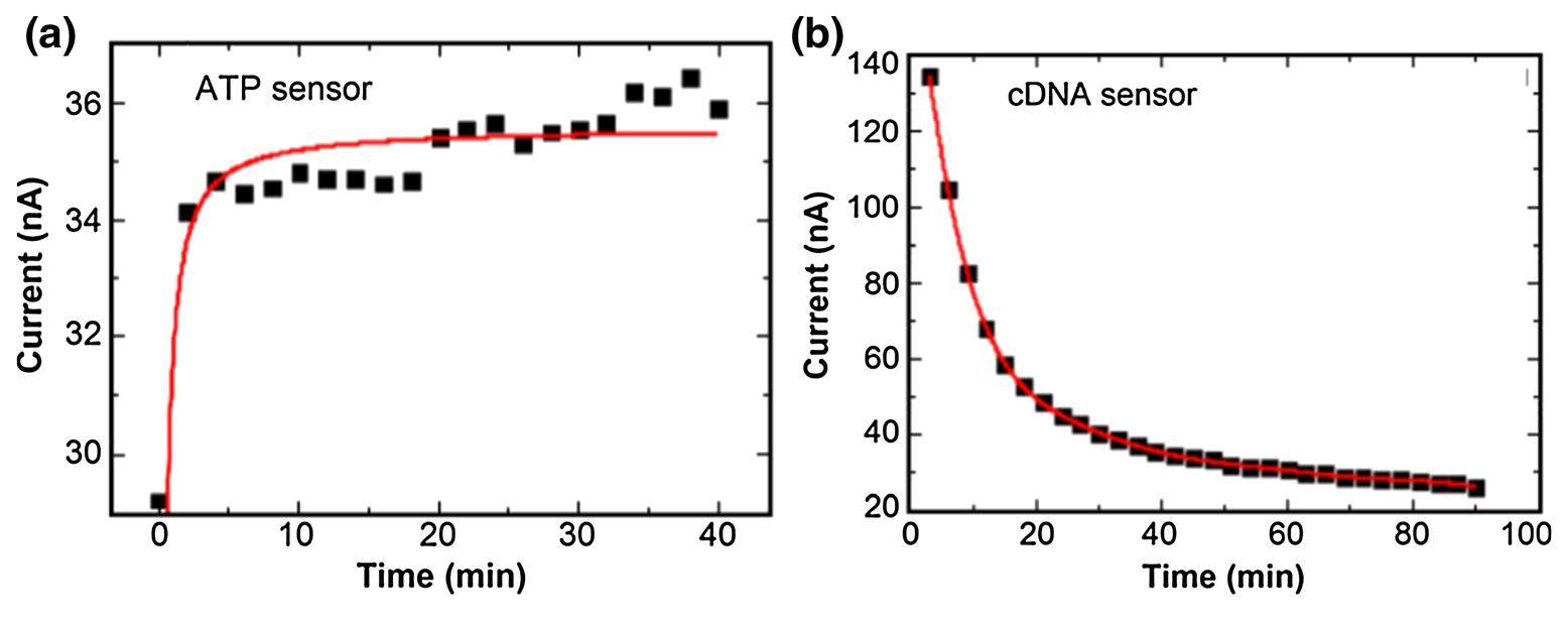 Nuclear Science and Techniques