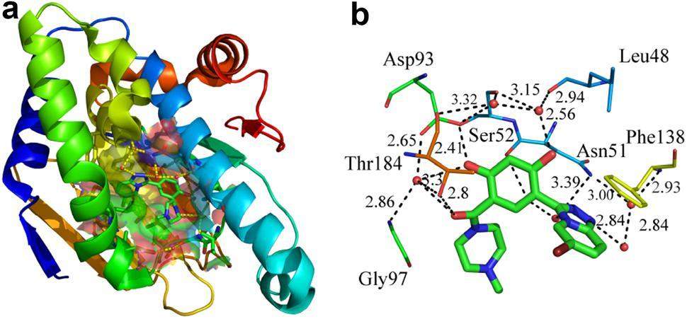 Nuclear Science and Techniques