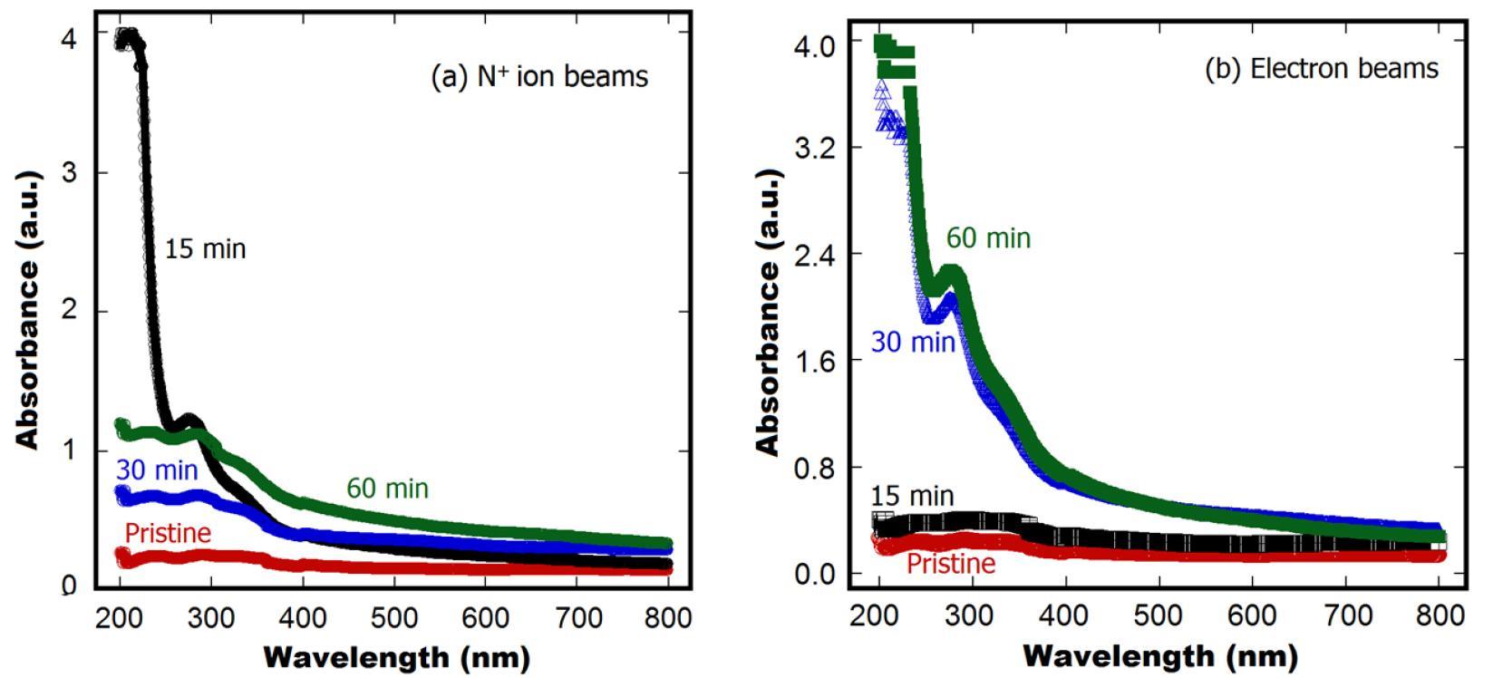 Effect of ion and electron beam irradiation on surface morphology and ...