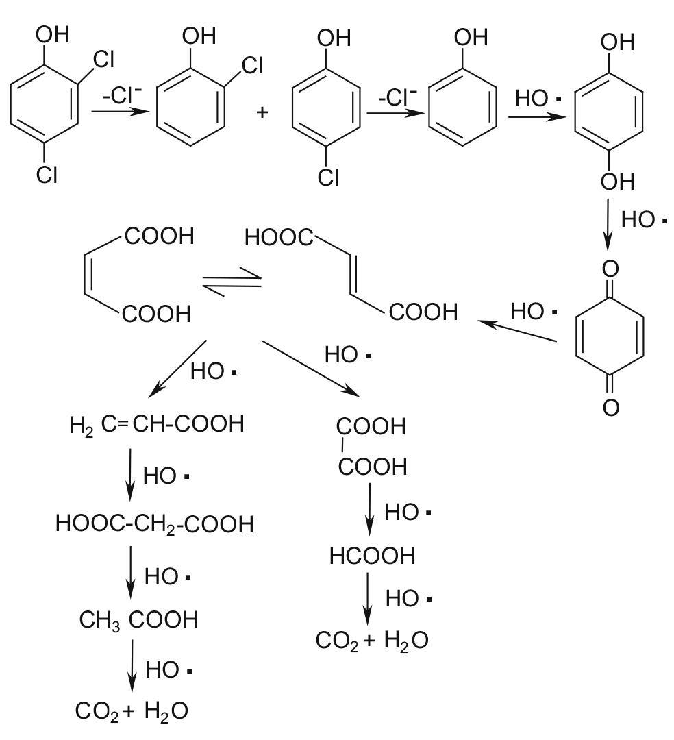 Degradation kinetics of 2,4-dichlorophenol by gamma-ray irradiation in ...