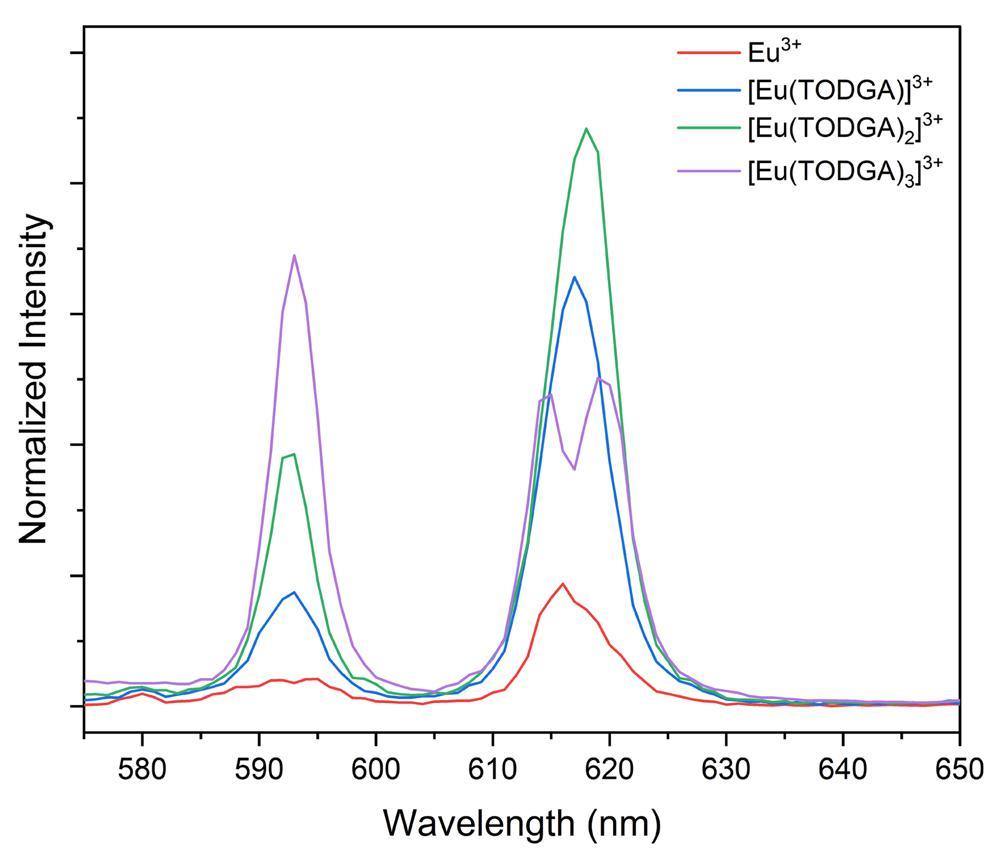 Effect of radiolysis of TODGA on the extraction of TODGA/n-dodecane ...