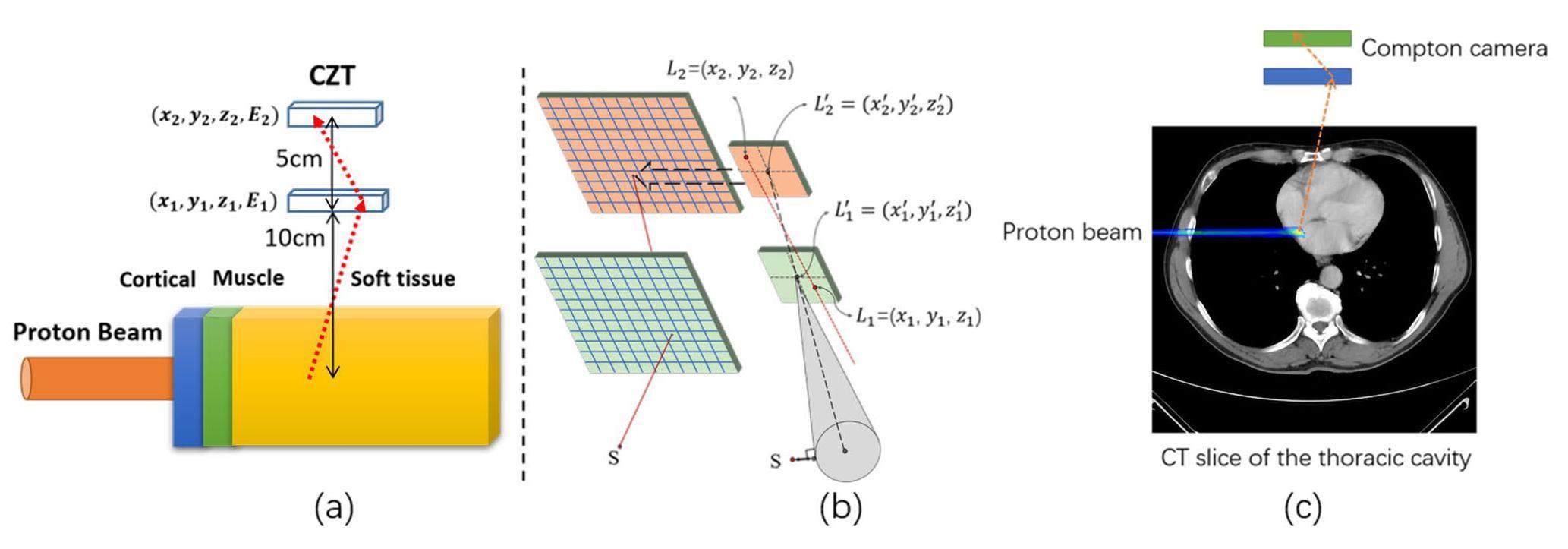 Dose reconstruction with Compton camera during proton therapy via ...
