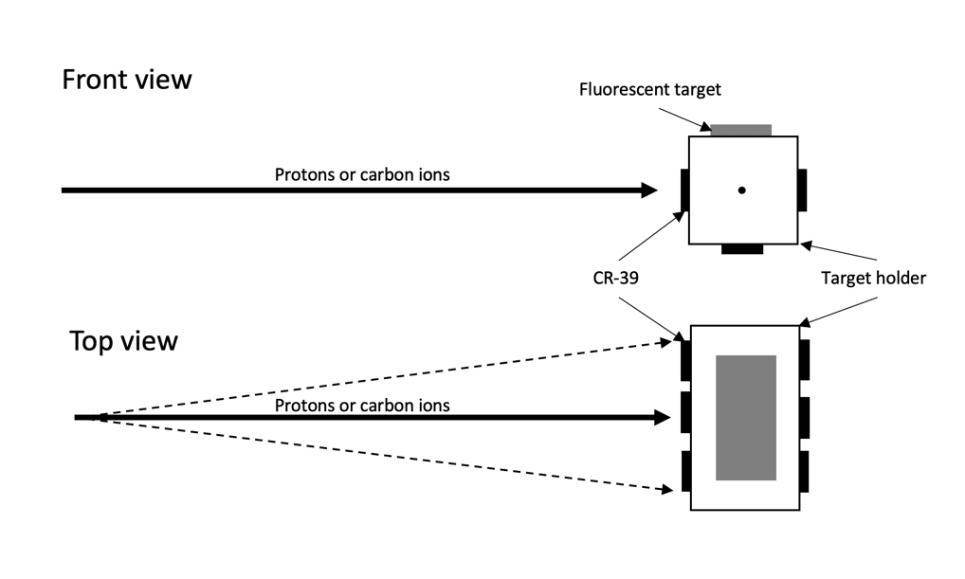 Energy calibration of a CR-39 nuclear-track detector irradiated by ...