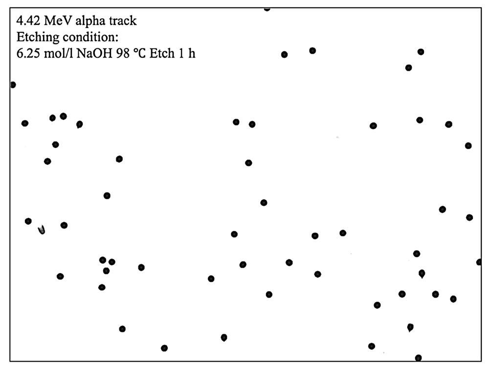 Energy calibration of a CR-39 nuclear-track detector irradiated by ...