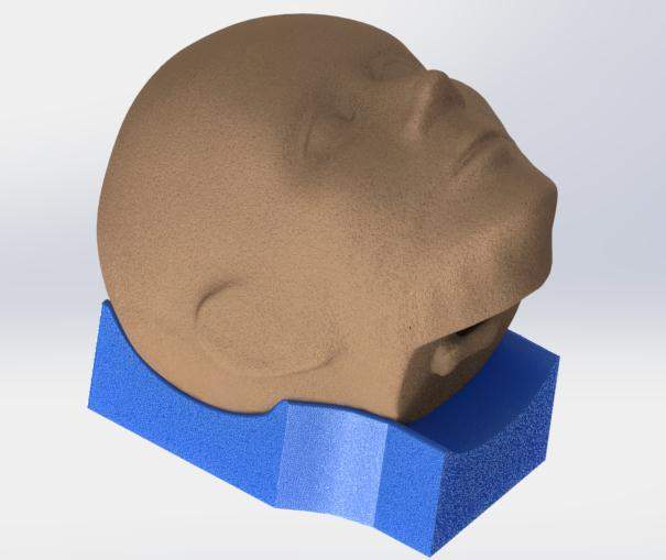 Radiotherapy customized head immobilization masks: from modeling and ...