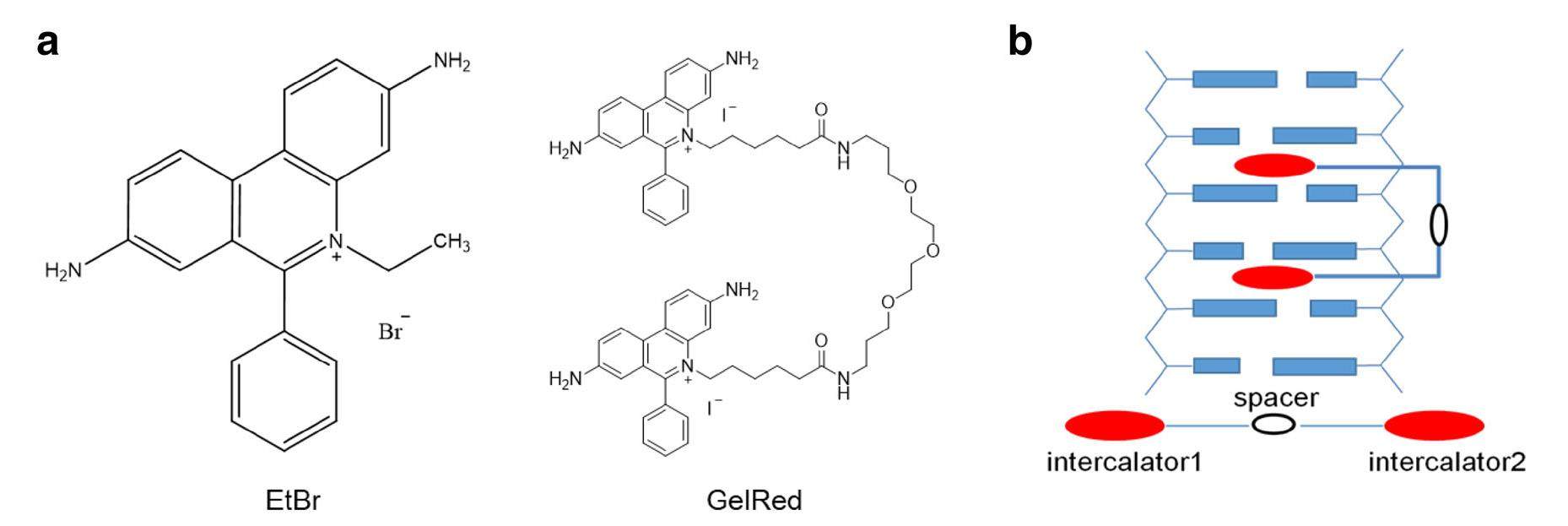 Real-time label-free analysis of the thermostability of DNA structures ...