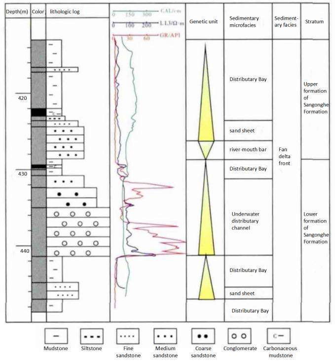 3D characterization of porosity and minerals of low permeability ...