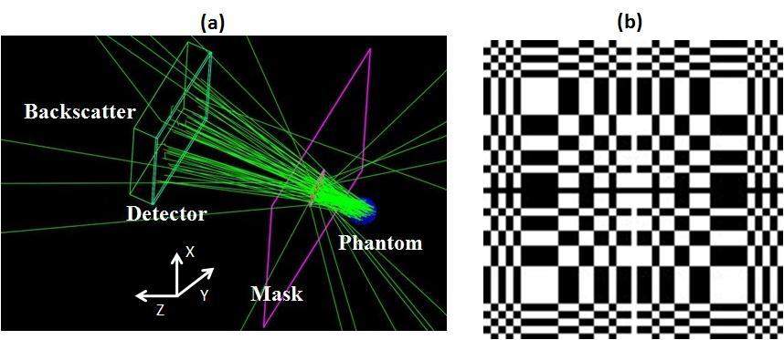 Nuclear Science and Techniques