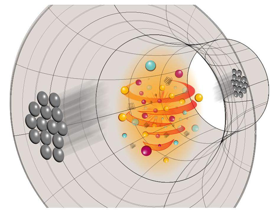 Vector meson spin alignment by the strong force field