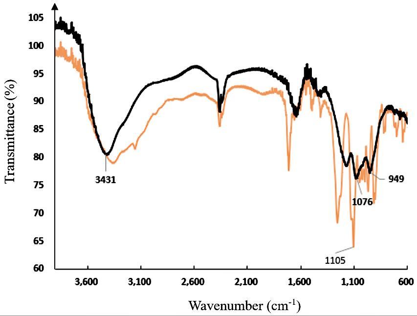 Study of ATP borate ester effects on cell sensitization to radiation ...