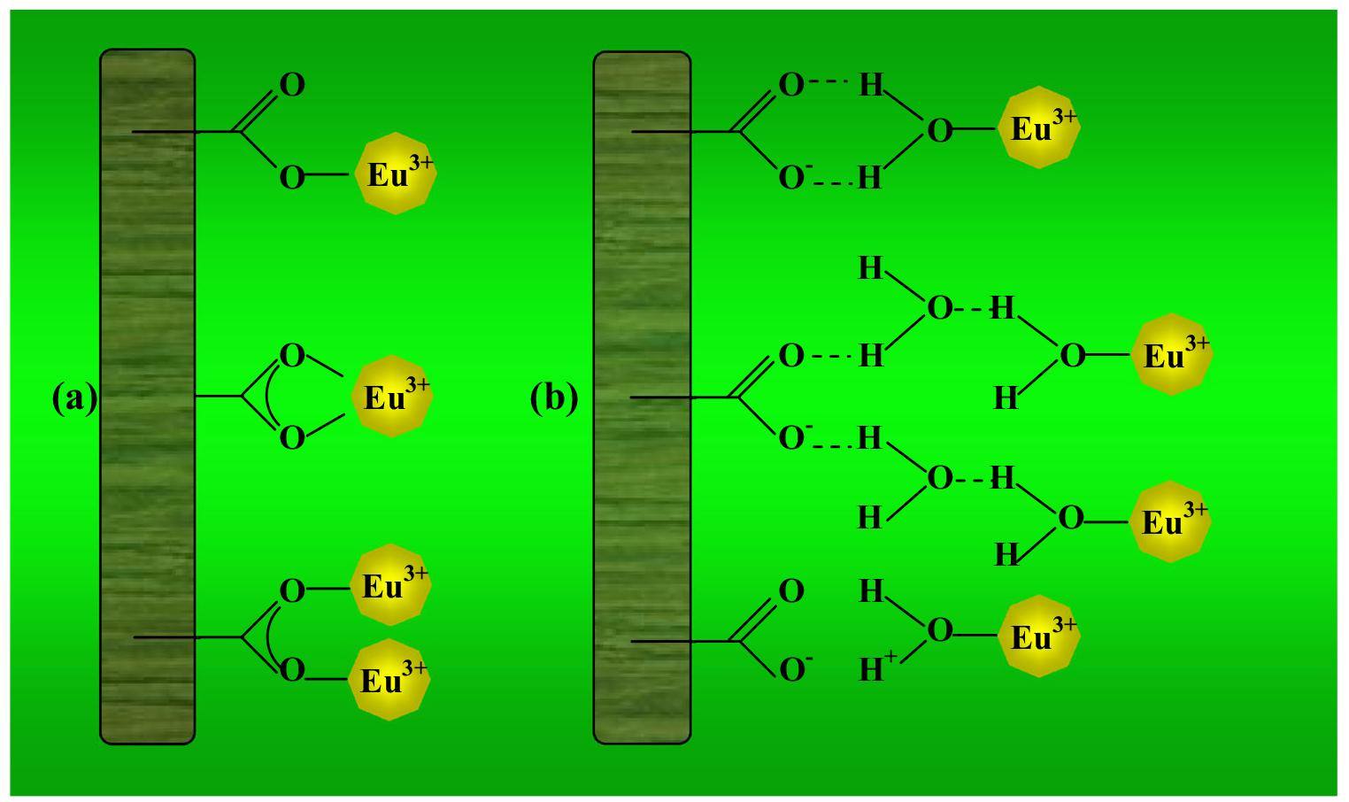 Adsorption behaviour of Eu(III) on natural bamboo fibres: Effects of pH ...