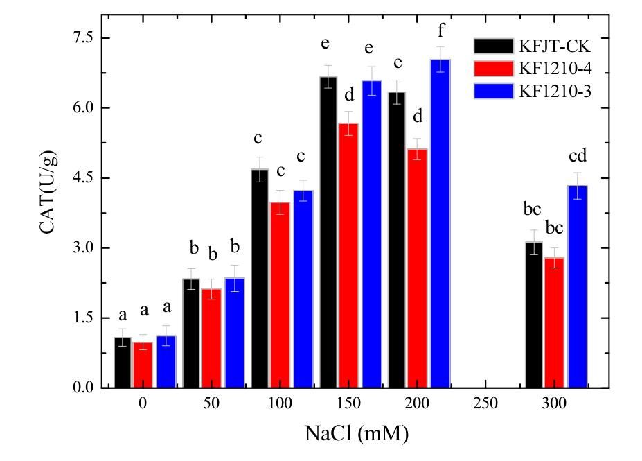 Synergistic responses of NHX, AKT1, and SOS1 in the control of Na+ ...