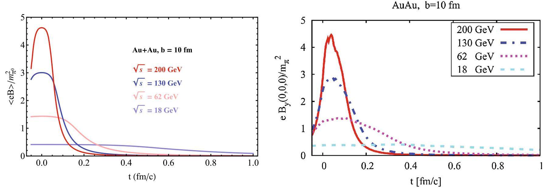 Novel quantum phenomena induced by strong magnetic fields in heavy-ion ...