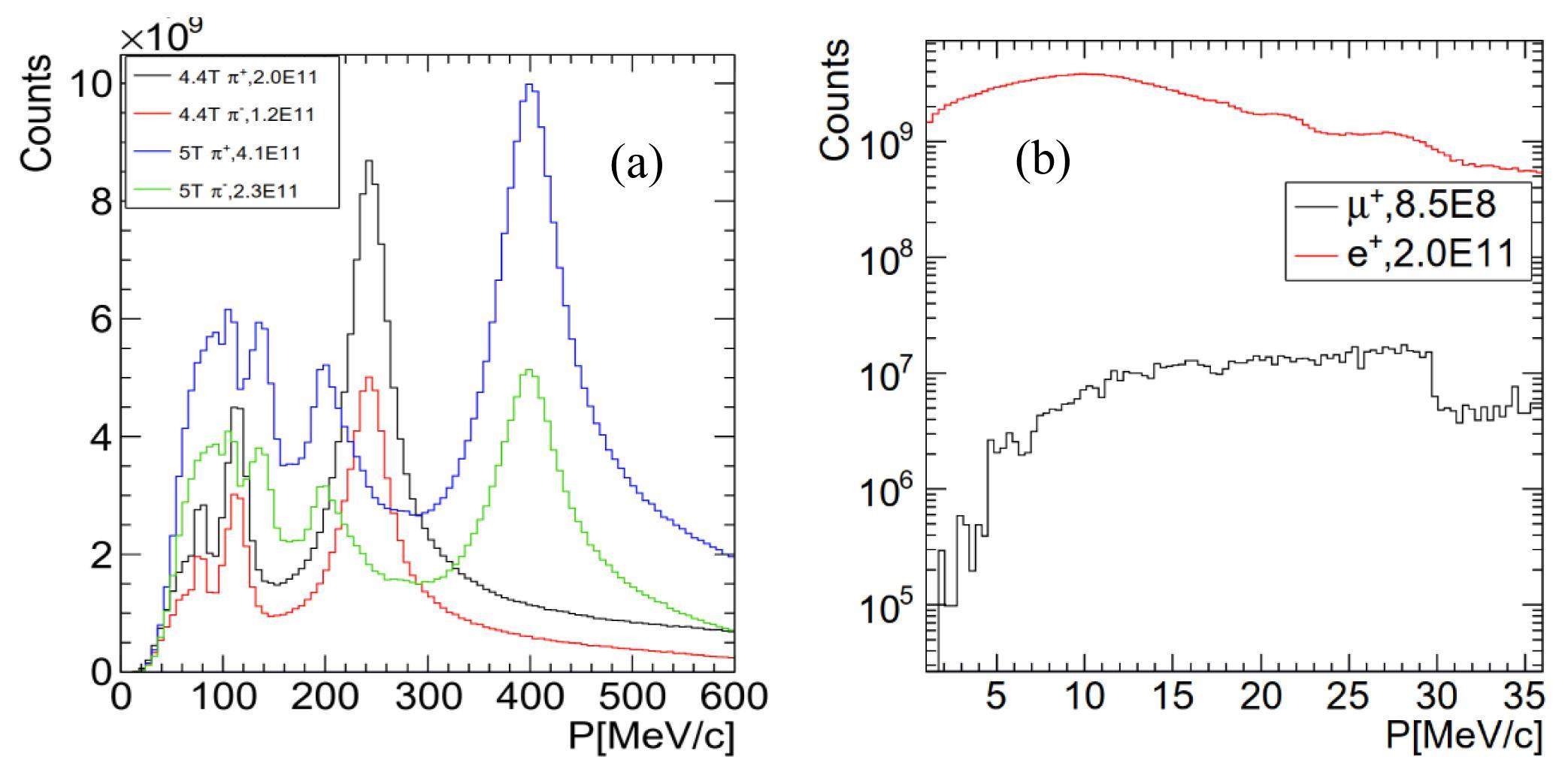 Beamline design for multipurpose muon beams at CSNS EMuS