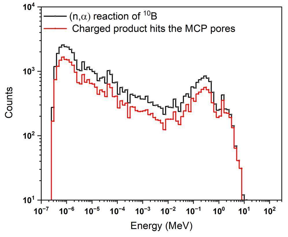 Study of the response of 10B-doped MCP to wide-energy range neutrons ...