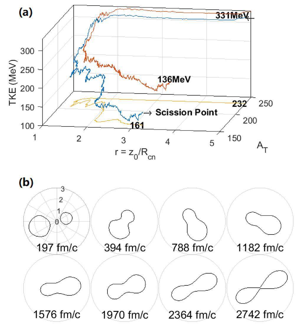 Investigation of multinucleon transfer processes in the Langevin ...