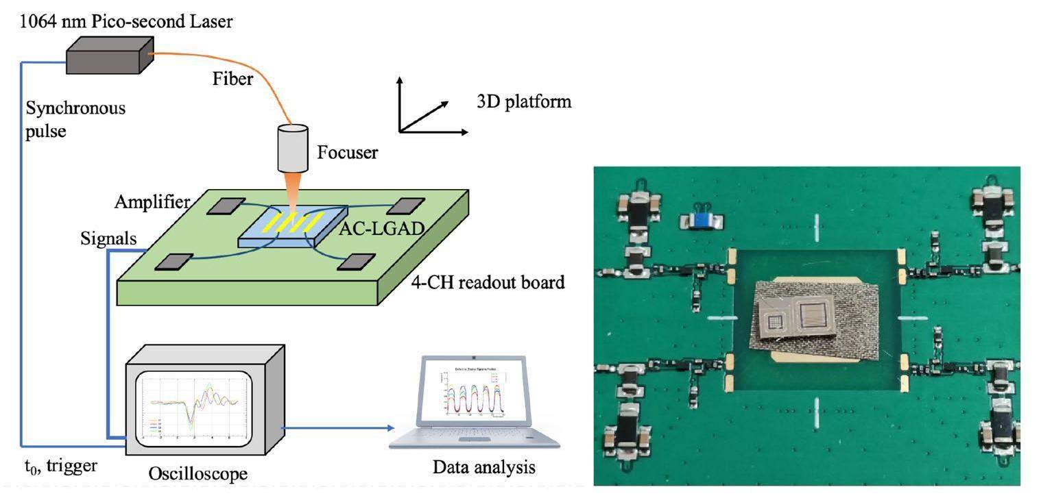 Performance of AC-LGAD strip sensors designed for the DarkSHINE experiment
