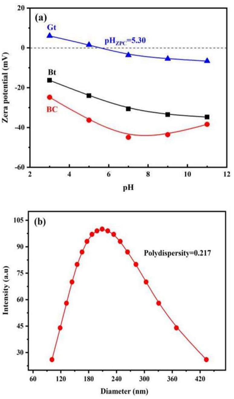 Investigation of co-transport behavior of strontium and bentonite ...