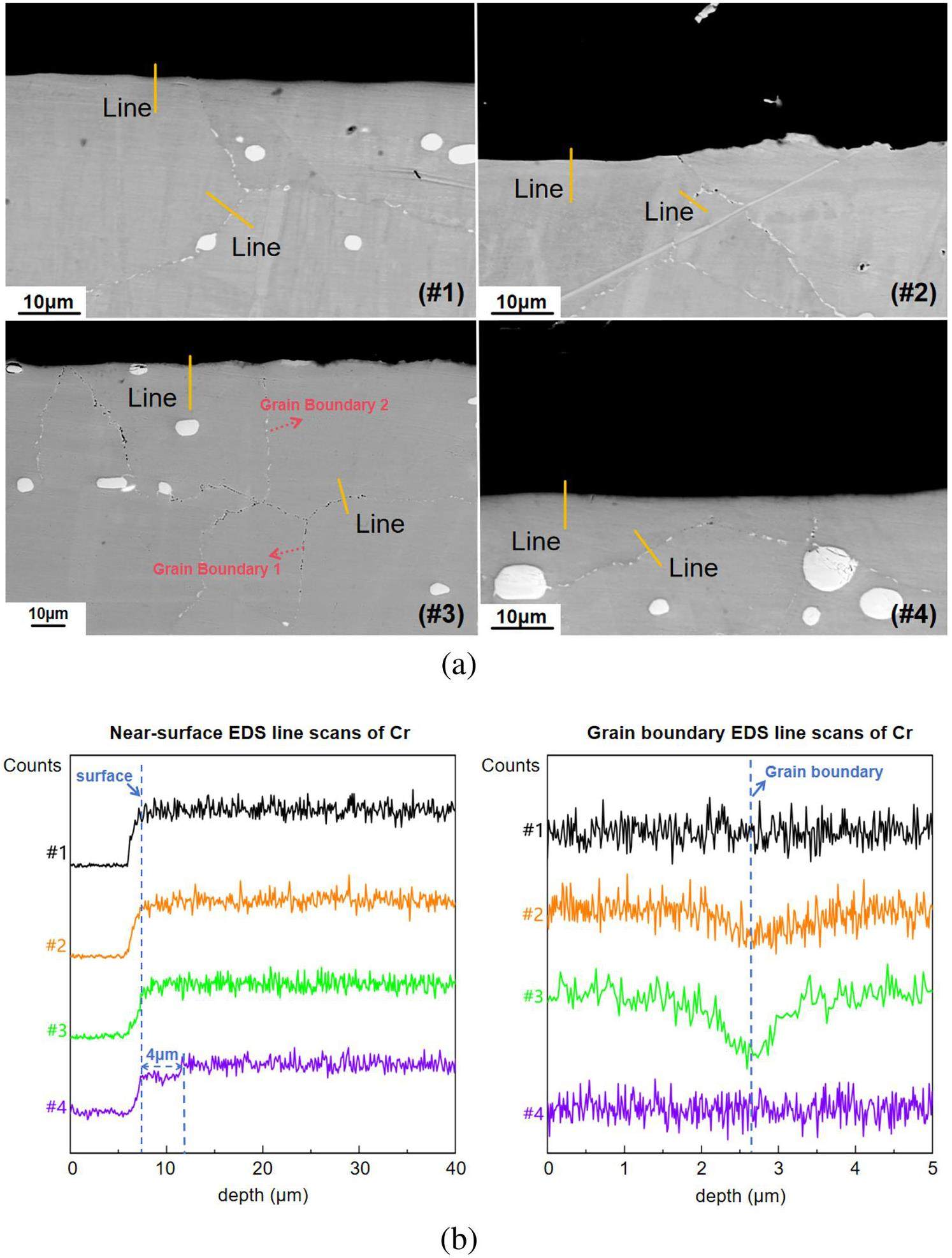 Effect of EuF3 concentration on the tellurium-induced corrosion and ...