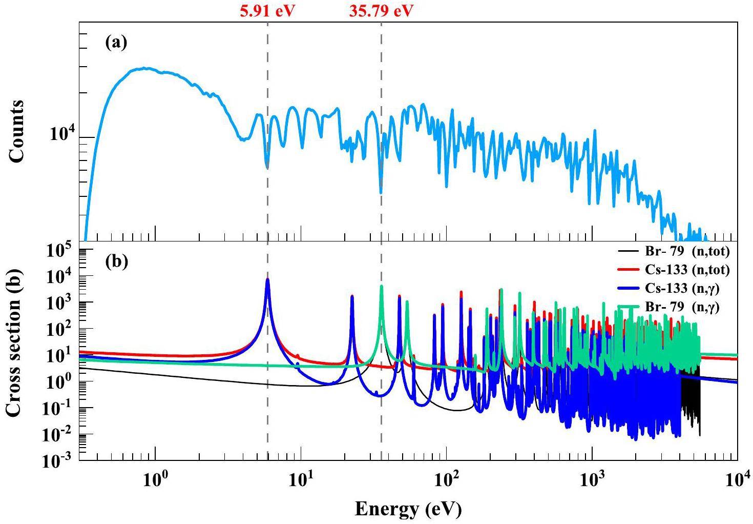 Characterization of a prototype of the fast scintillator-based neutron ...